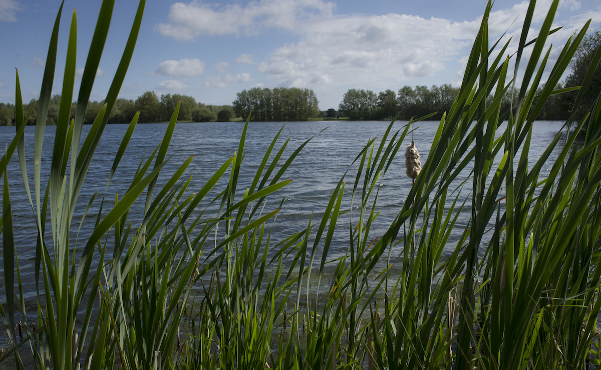 Conningbrook Lakes Masterplan gets the thumbs up | AshfordFOR