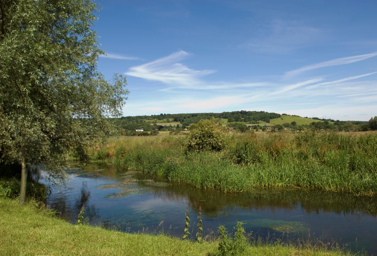 Latest News - AshFORd | AshfordFOR